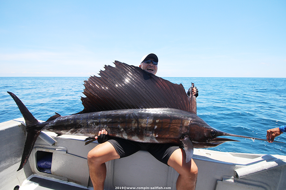 Rompin Sailfish fishing charters - Kuala Rompin Malaysia